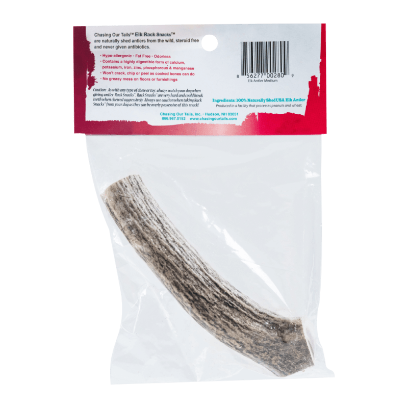 Chasing Our Tails Archives - Chasing our Tails