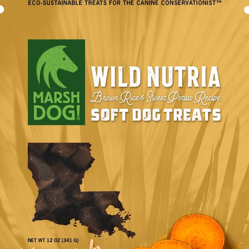 Better Biscuit: Salmon - Chasing our Tails